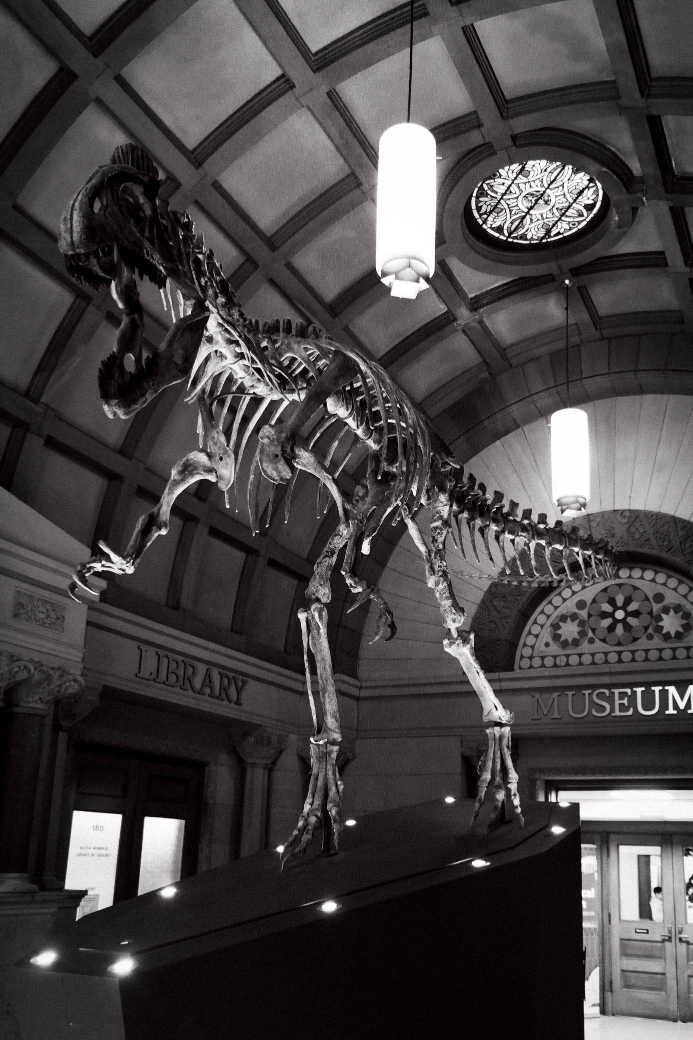 Orton Geological Museum – OSU Main Campus – VisualOhio