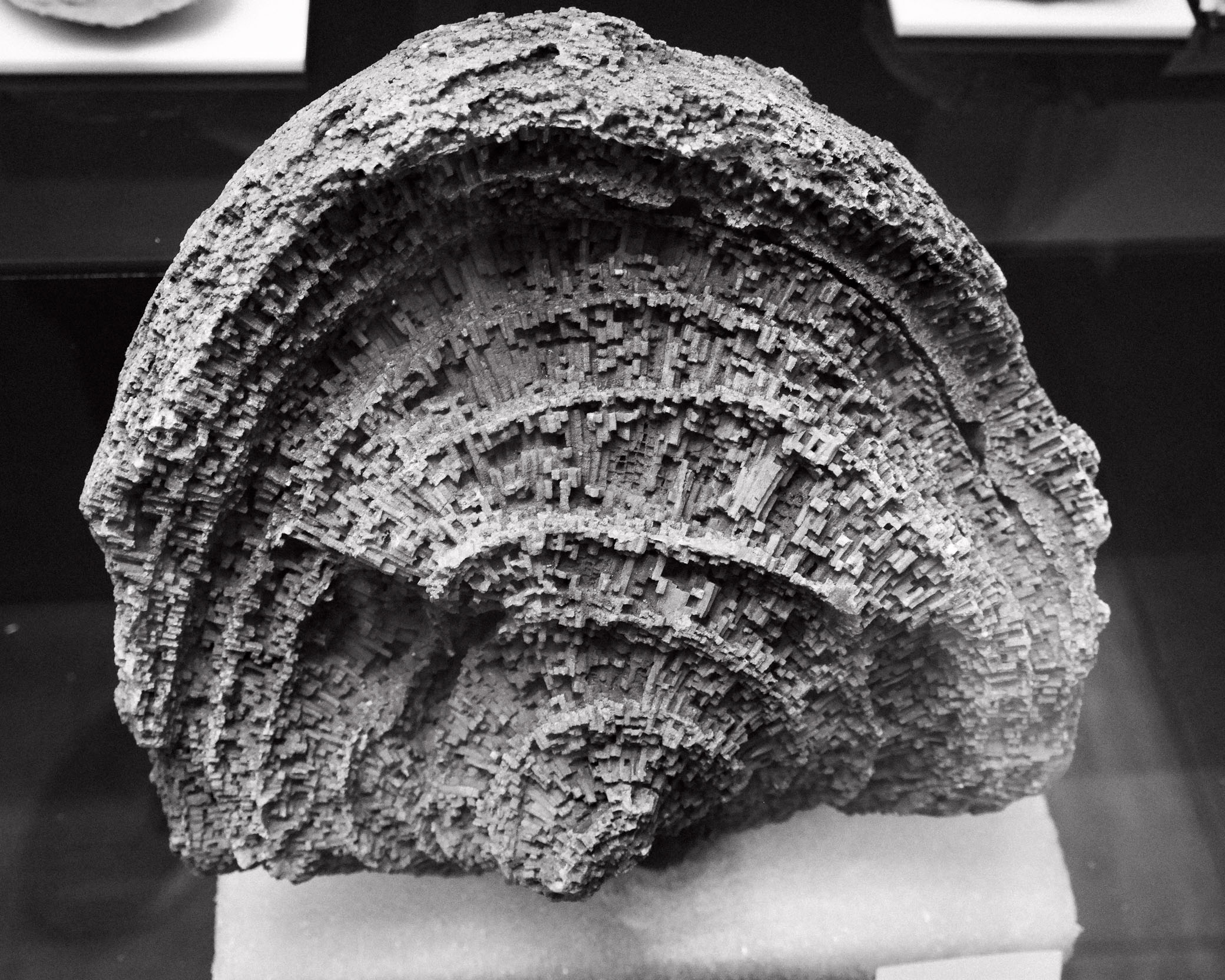 Orton Geological Museum – OSU Main Campus – VisualOhio