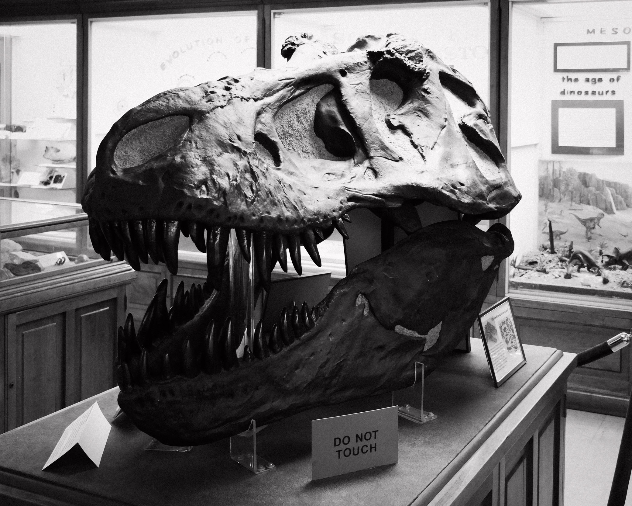 Orton Geological Museum – OSU Main Campus – VisualOhio