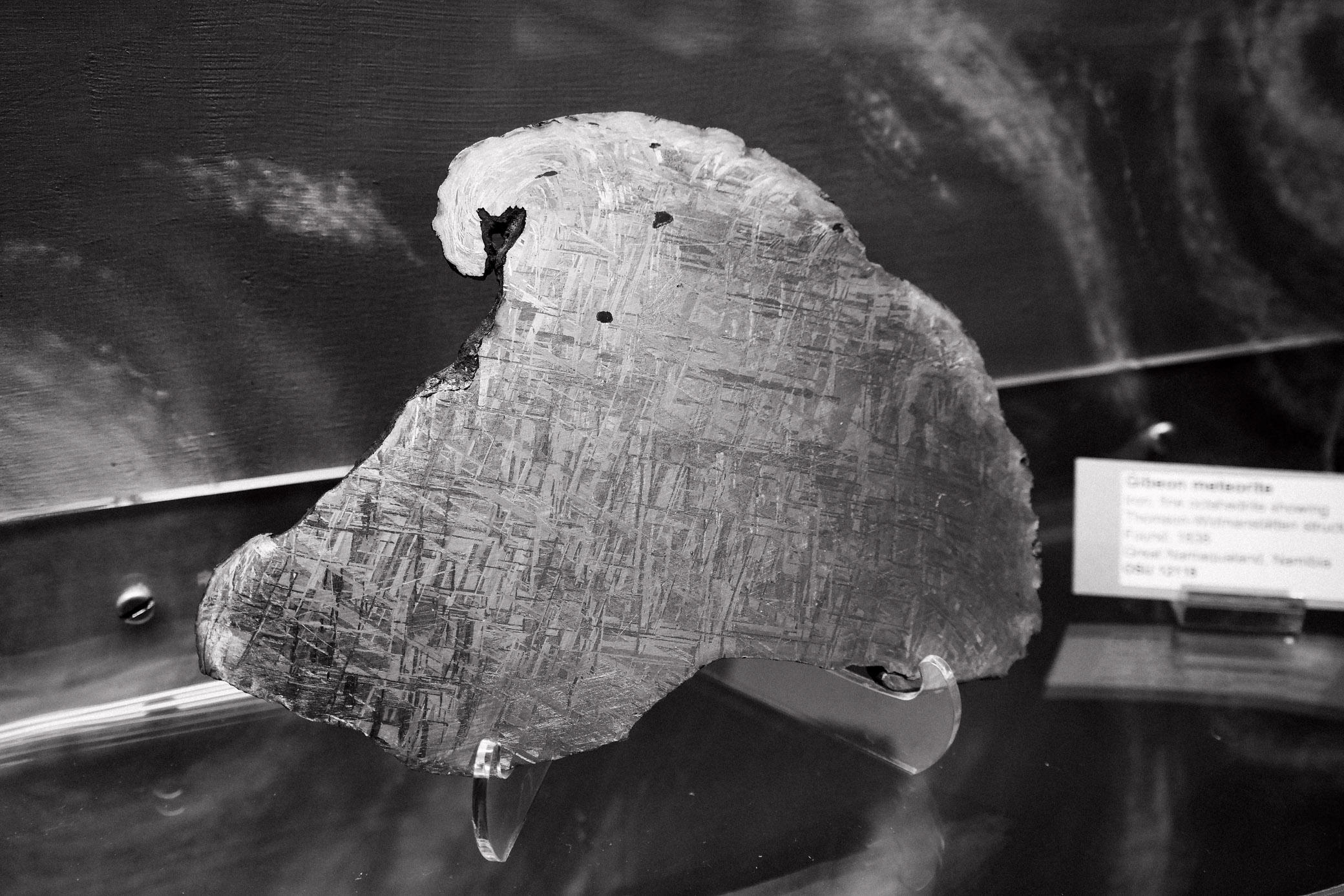 Orton Geological Museum – OSU Main Campus – VisualOhio